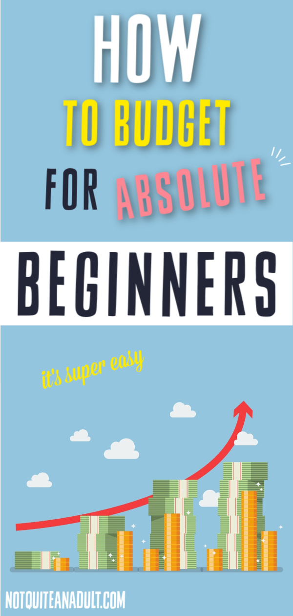 Budgeting for Beginners: A 7 Step Guide To Success - Not Quite An Adult